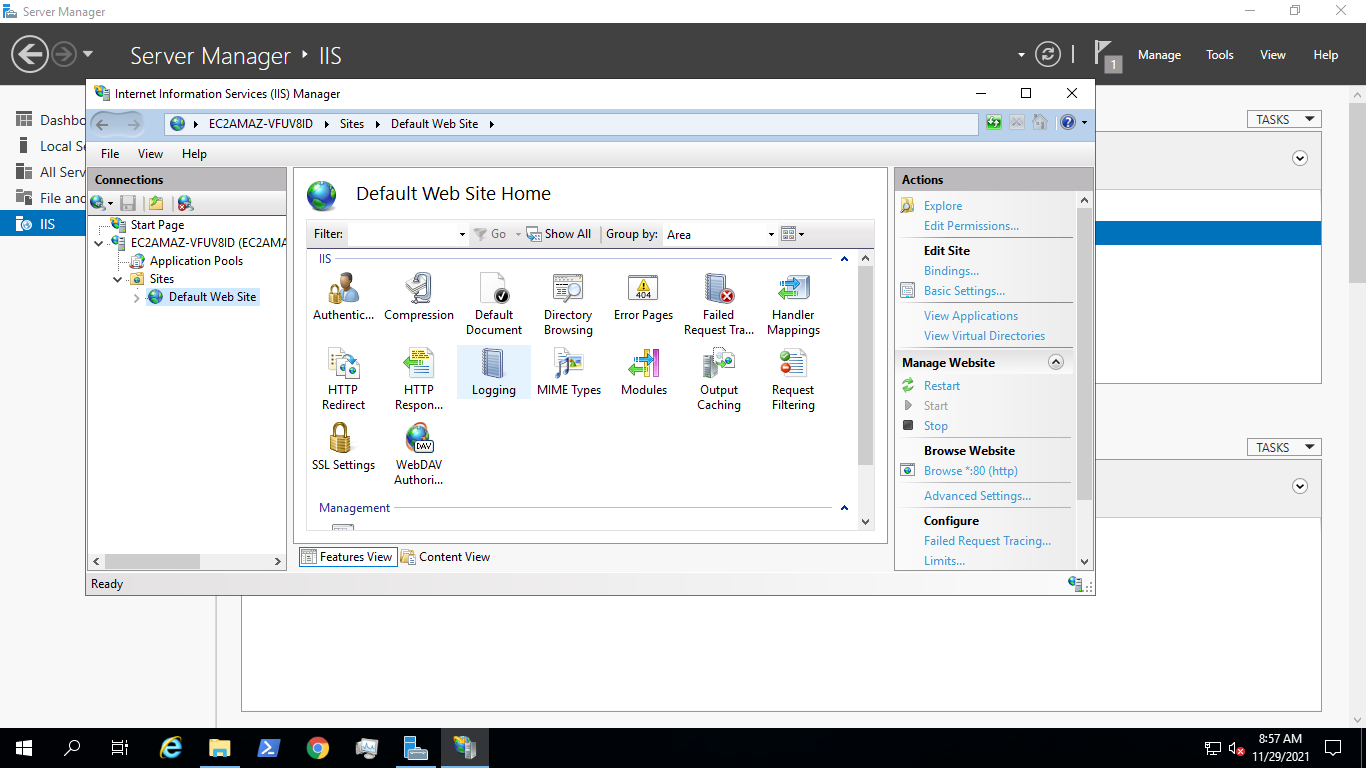 Setup For Iis Server And Access Logging Snappyflow