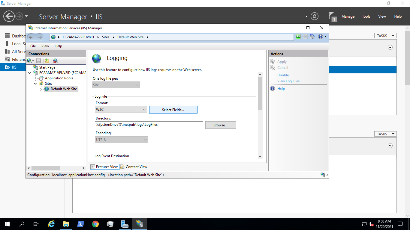 Setup for IIS Server and Access Logging | SnappyFlow